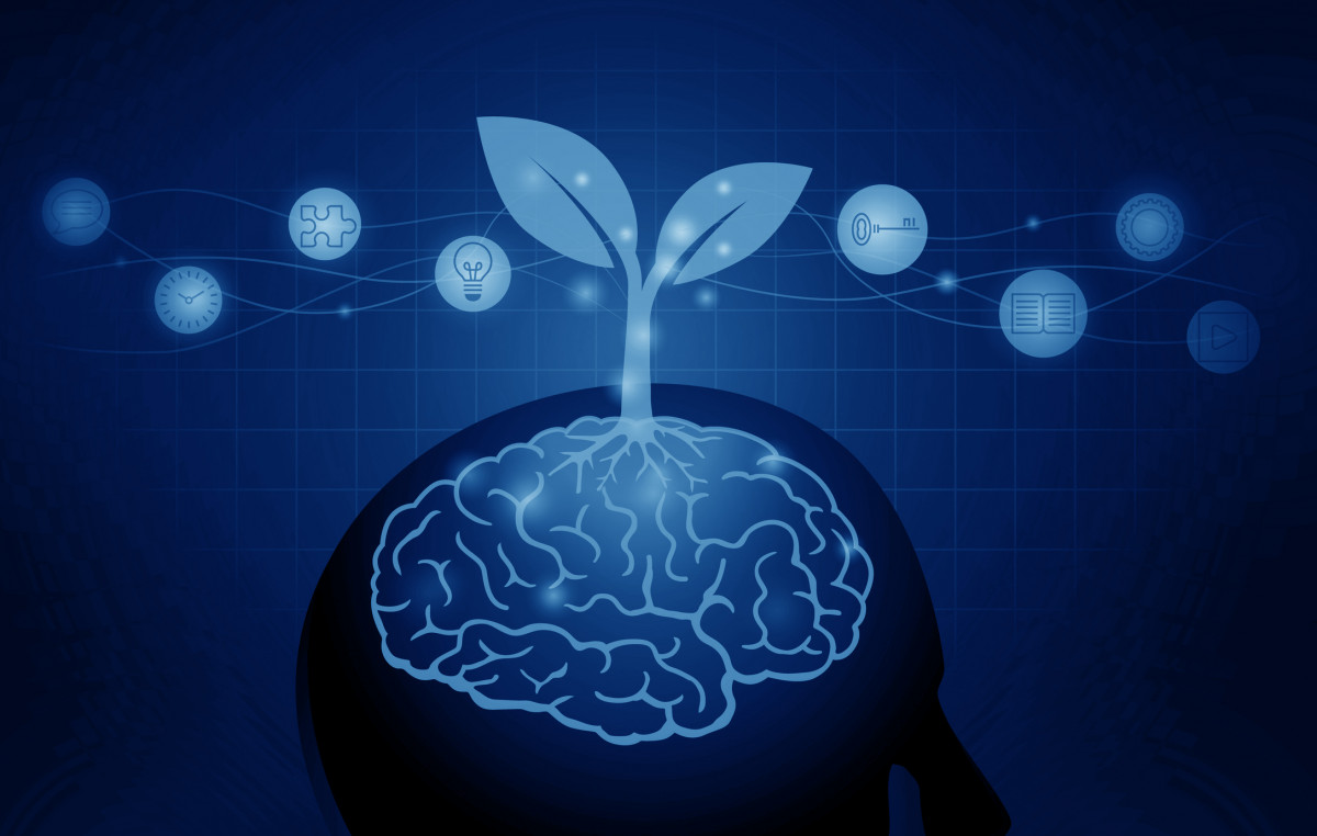 Ingin Menjadi Mahasiwa Tangguh? Ikuti 7 Tips Mindset Ini - Sang Juara ...